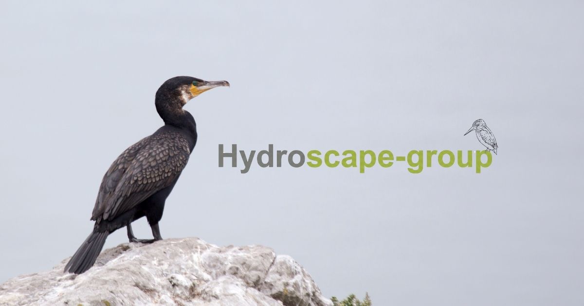 Hydroscape Reporting Hub